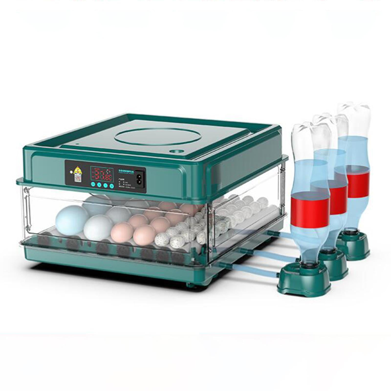 F Fityle Automatic Egg Incubator, 48 Eggs LED Display, Temperature ...