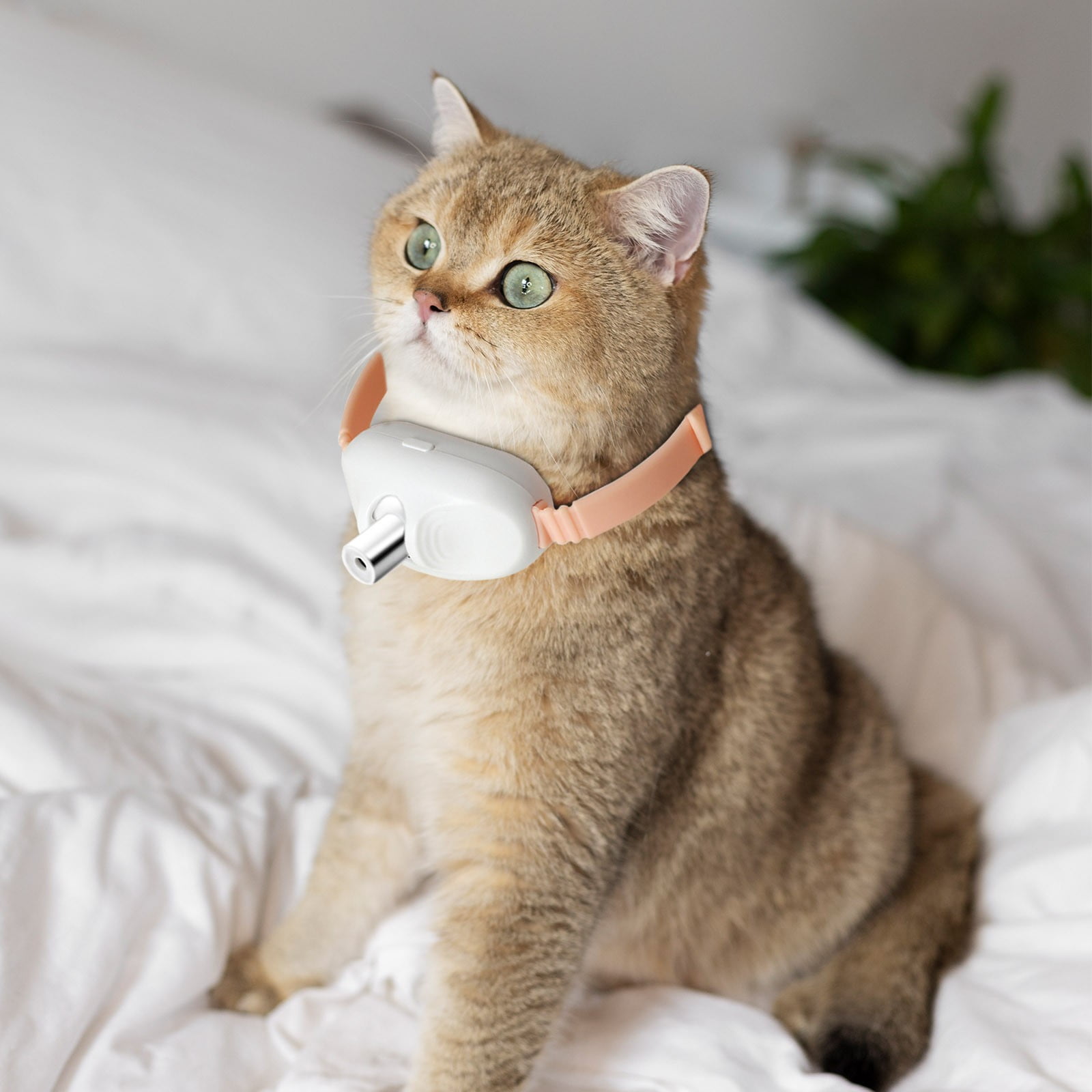 Automatic Laser Pointer Cat Collar Toy - USB Rechargeable Interactive ...