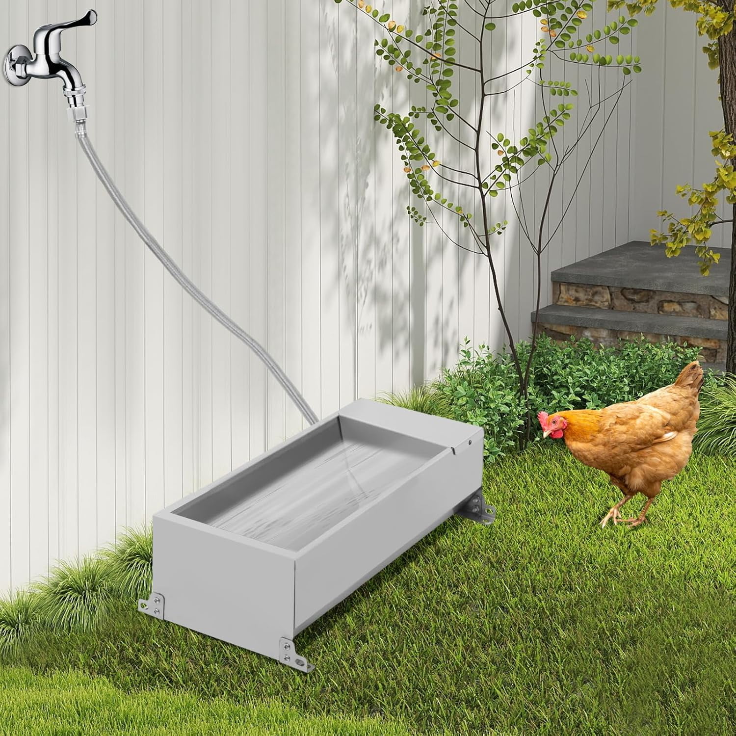 Automatic Livestock Water Trough 304 Stainless Steel for Chickens 7.5L ...