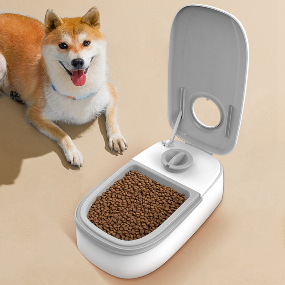 Automatic Meals Cat Feeder, Pet Feeder with Timer, Timed and Portion ...