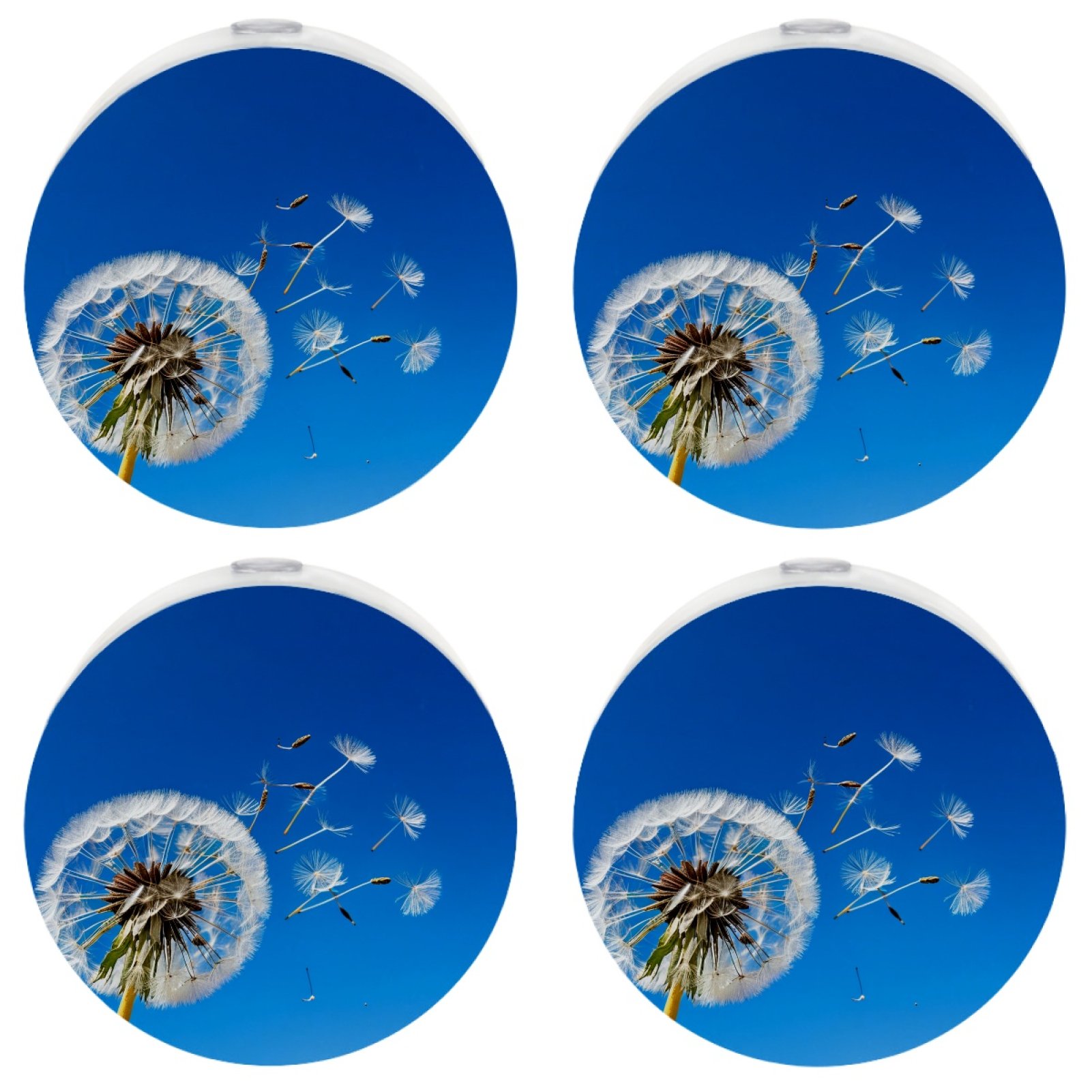 Automatic Night Lights Plug into Wall for Kids & Adults,Floral Blue Sky ...