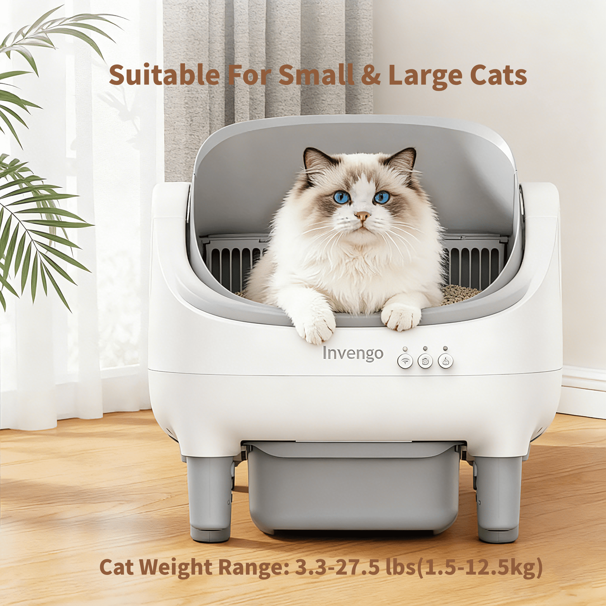 Invengo Automatic Self-Cleaning Cat Litter Box, Open-Top Design with ...
