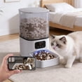 Automatic Pet Feeder for Dogs Cats in Home Smart Dry Food Dispenser ...