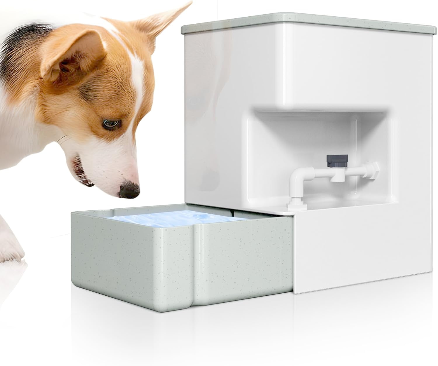 Automatic Pet Water Dispenser 8L Gravity Waterer Ultra Quiet Top Fill ...