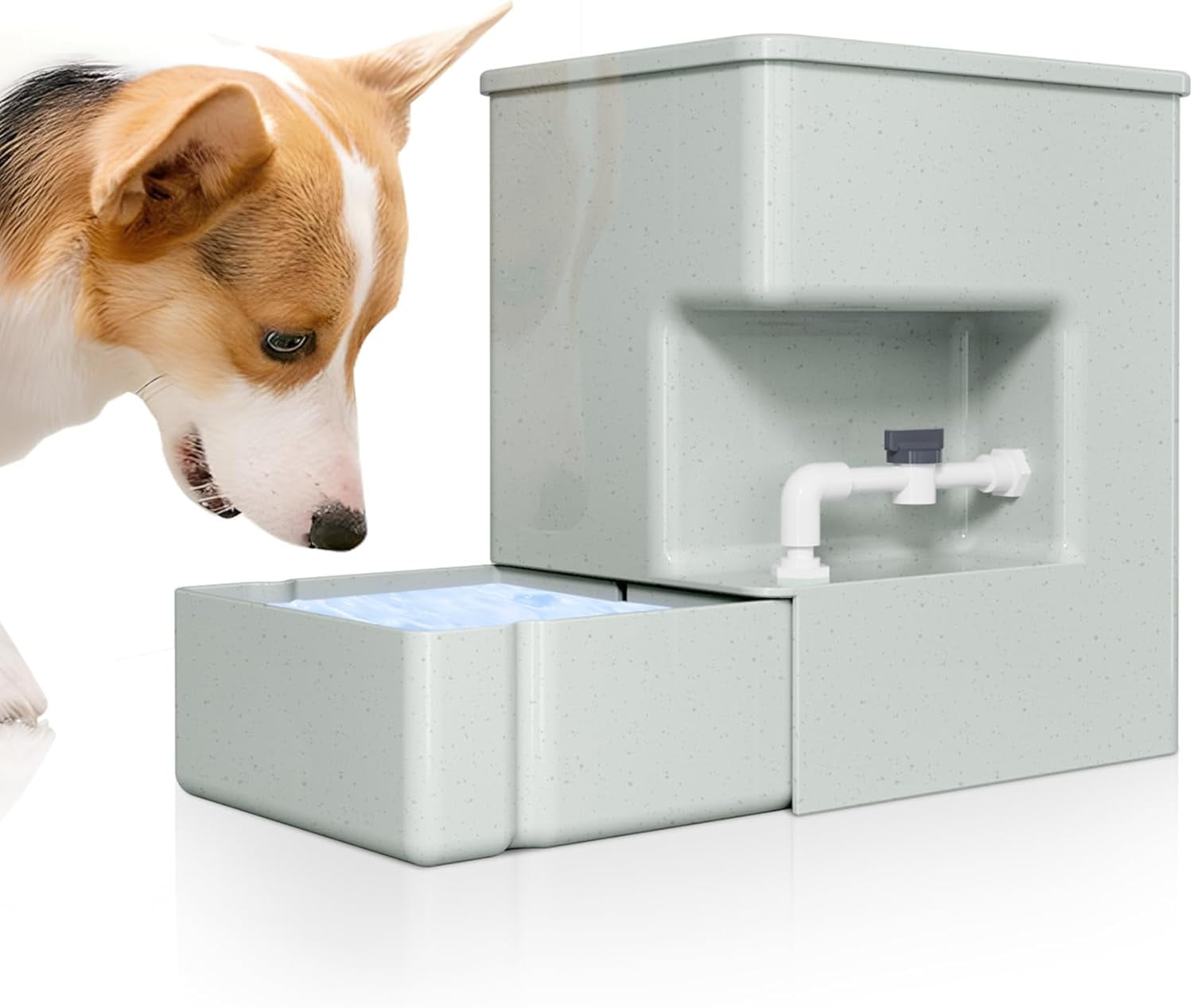 Automatic Pet Water Dispenser 8L Gravity Waterer Ultra Quite Moss-Free ...