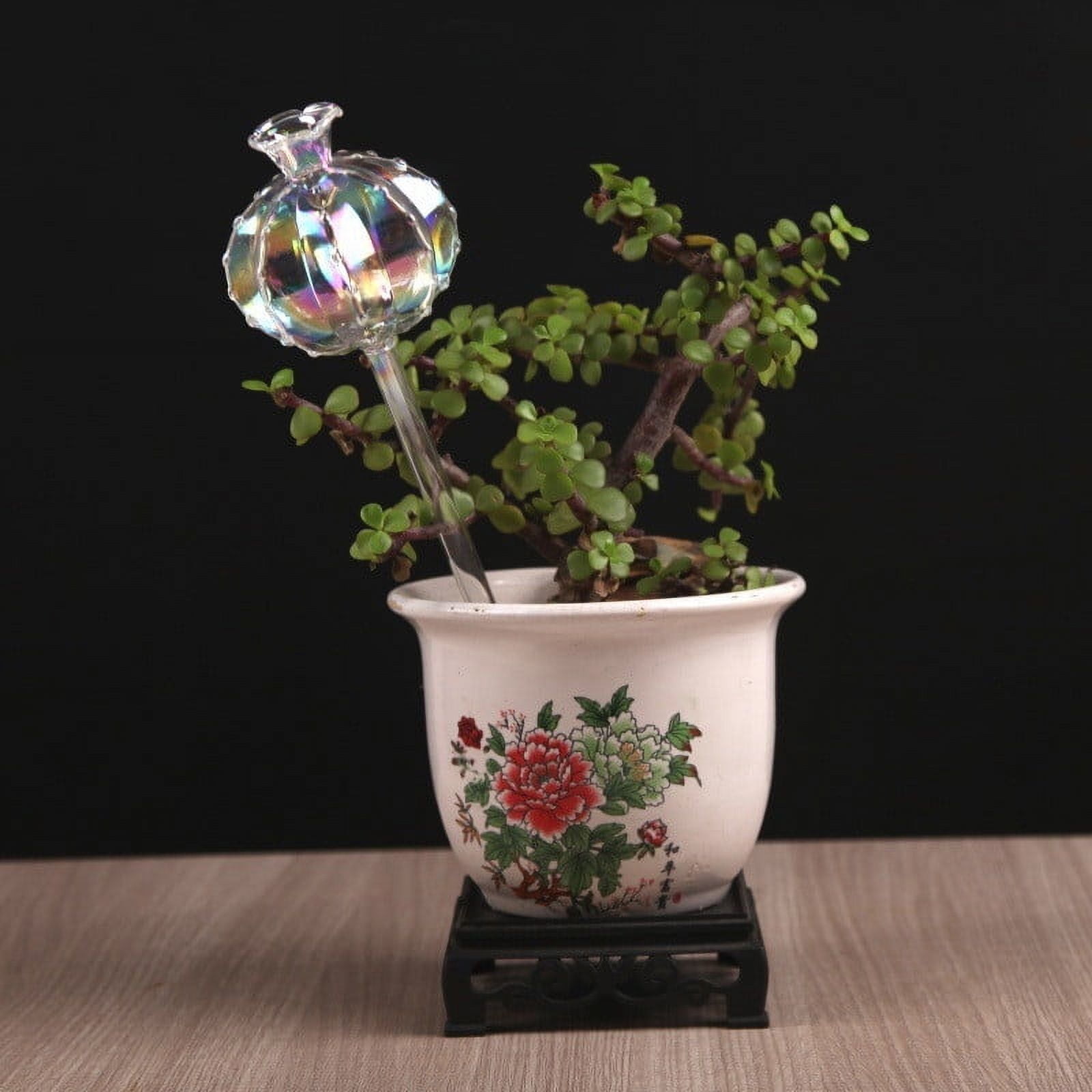 Automatic Plant Watering Globe 500ML Ball Shaped Self-Watering Device ...