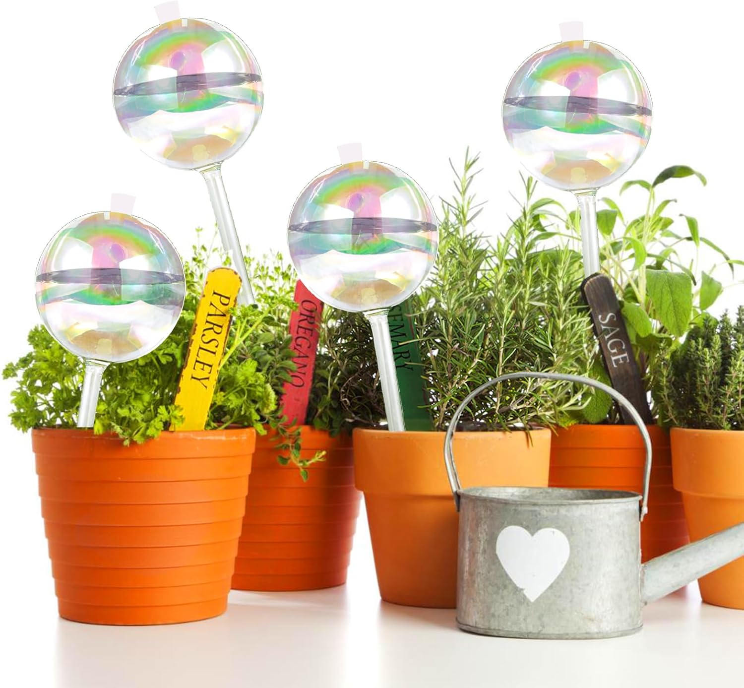 Automatic Plant Watering Globes 2 Pack, 13 oz Large Glass Bulbs, Value ...