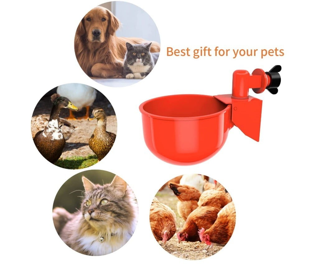 Automatic Poultry Drinking Cups 6-Pack– Chicken Water Feeder for Hens & Birds - Walmart.com