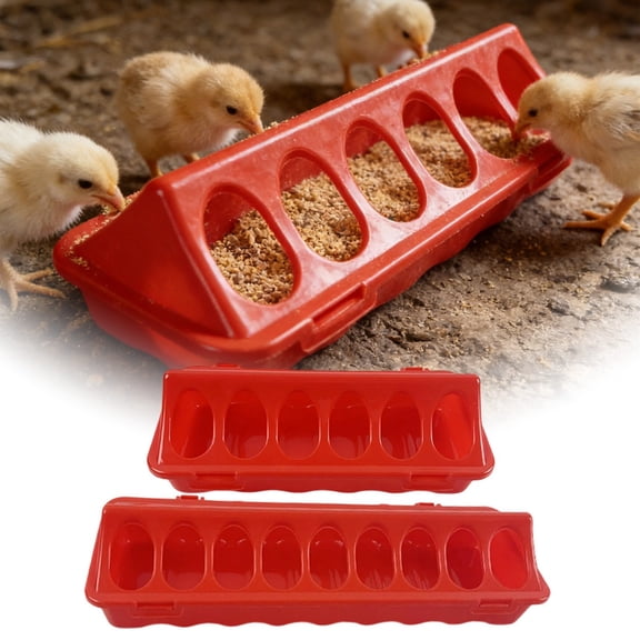 Automatic Bird Feeder