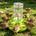 Automatic Poultry Water Dispenser, Spill Proof Chicken Quail Feeder ...