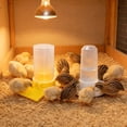 Automatic Poultry Water Feeder Quail Chick Drinker Dispenser Cage Mount ...