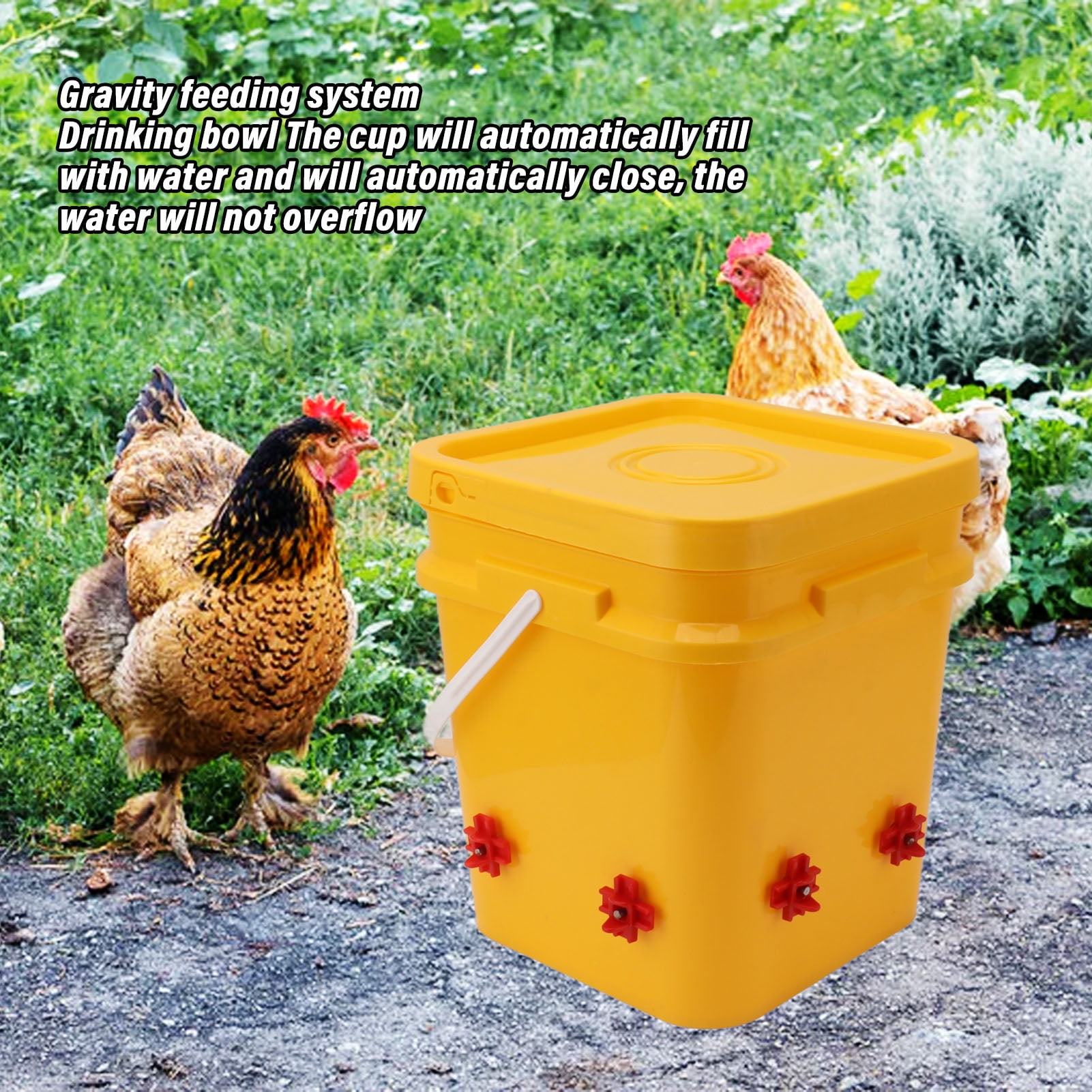 Automatic Poultry Waterer, 12L Bucket 8 Cups, , Gravity Feed System For ...