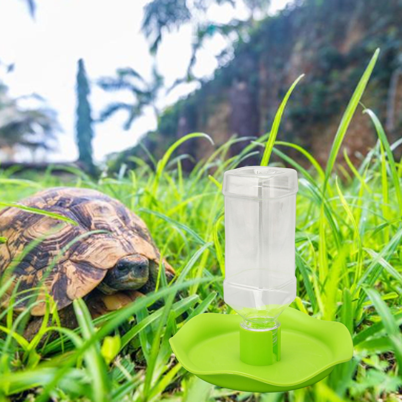 Automatic Reptile Waterer, Safe Easy Fill Dispenser For Turtles ...