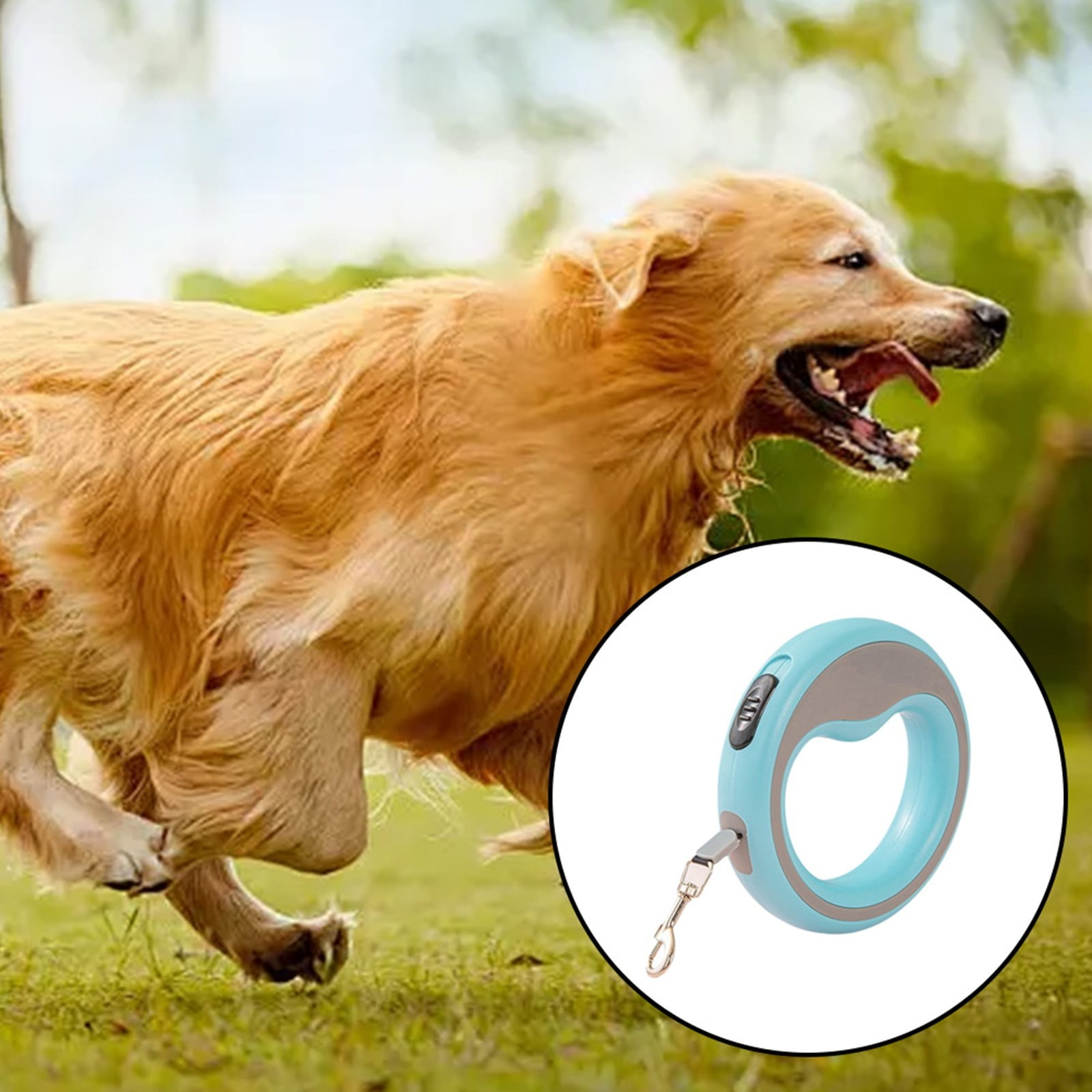 Automatic Retractable Dog Leash with Escape Lock Portable Explosion ...