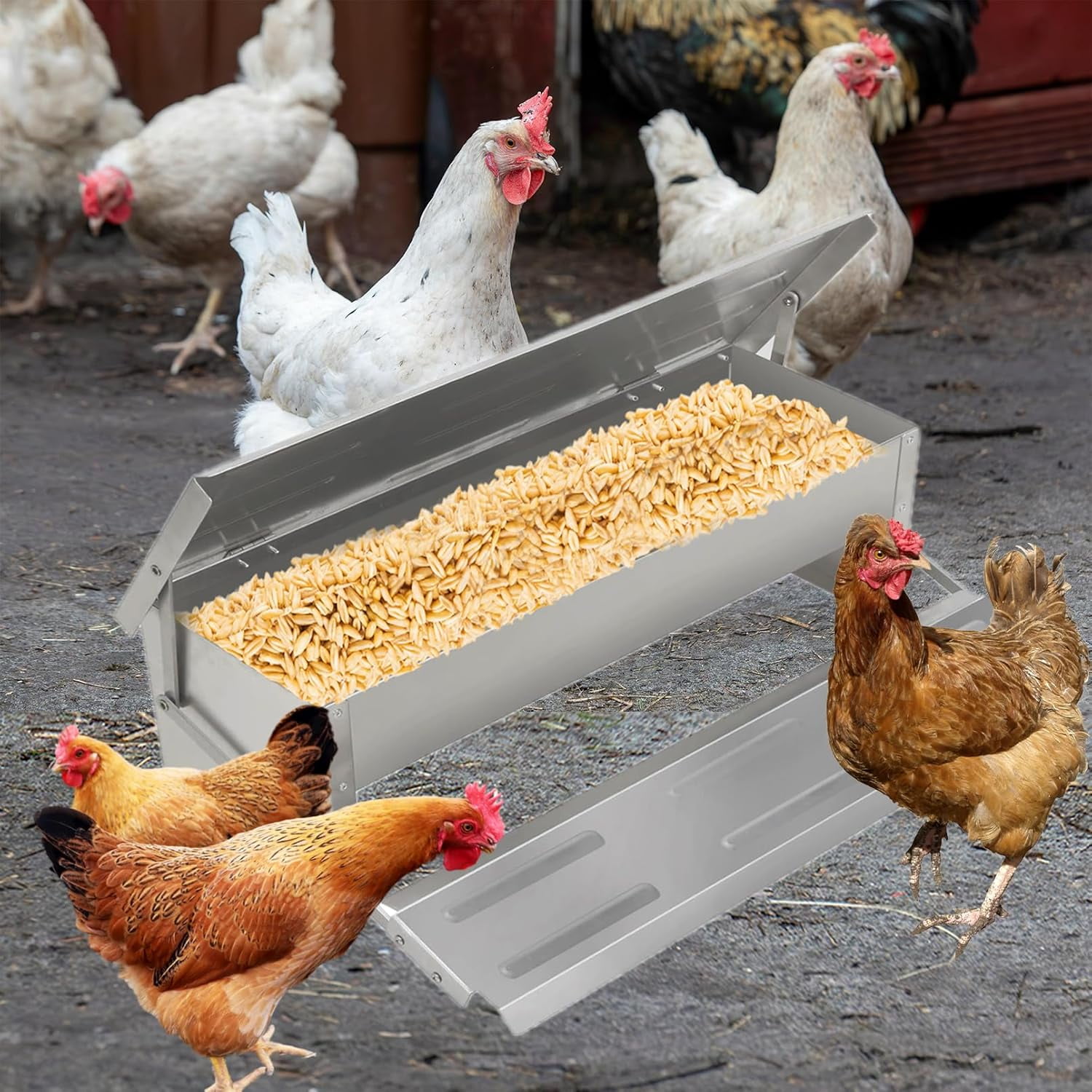 Automatic Treadle Chicken Feeder, 11lbs Pedal Chicken Feeder Rat Proof ...