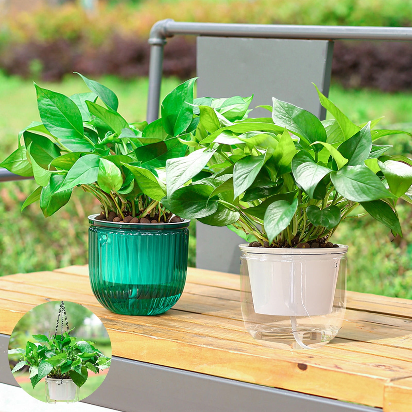 Automatic Water Absorption Hanging Potted Flower Pots, Transparent ...