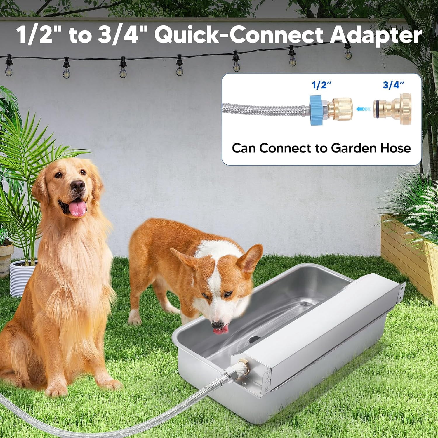 Automatic Water Dispenser for Dog, 6L Stainless Steel Indoor Outdoor ...