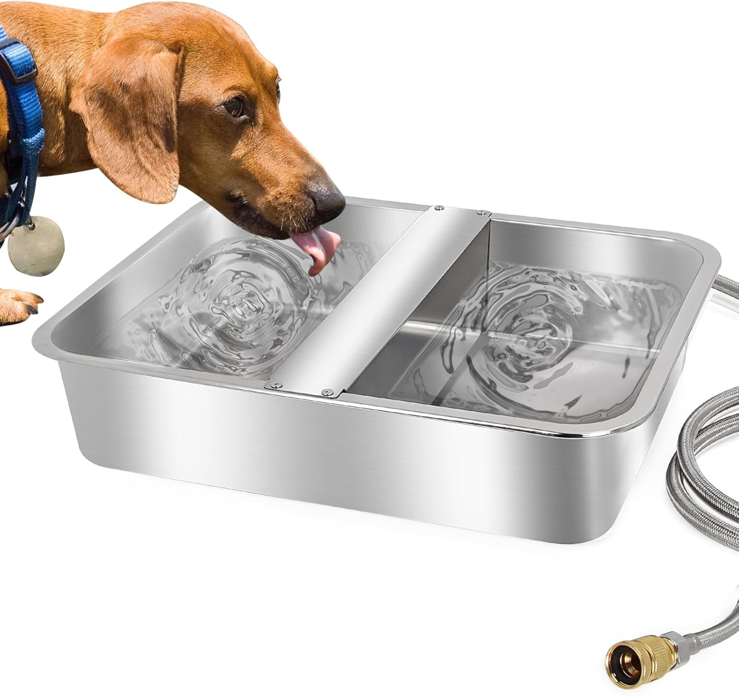 Automatic Water Dispenser for Dogs Livestock Water Trough 4 Gal Large ...