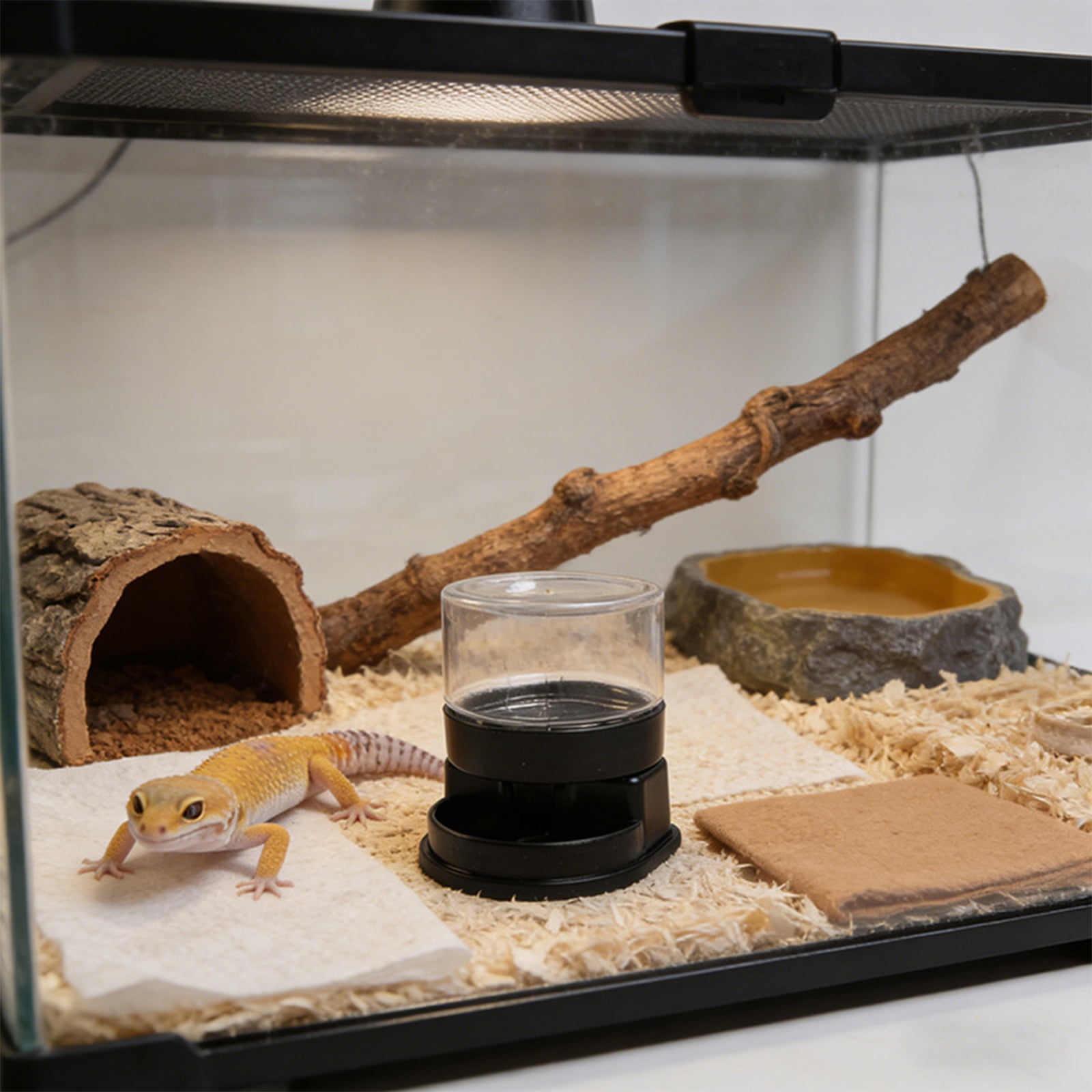 Automatic Water Dispenser for Reptiles, 50ml/1.7oz Small Lizard Gecko ...