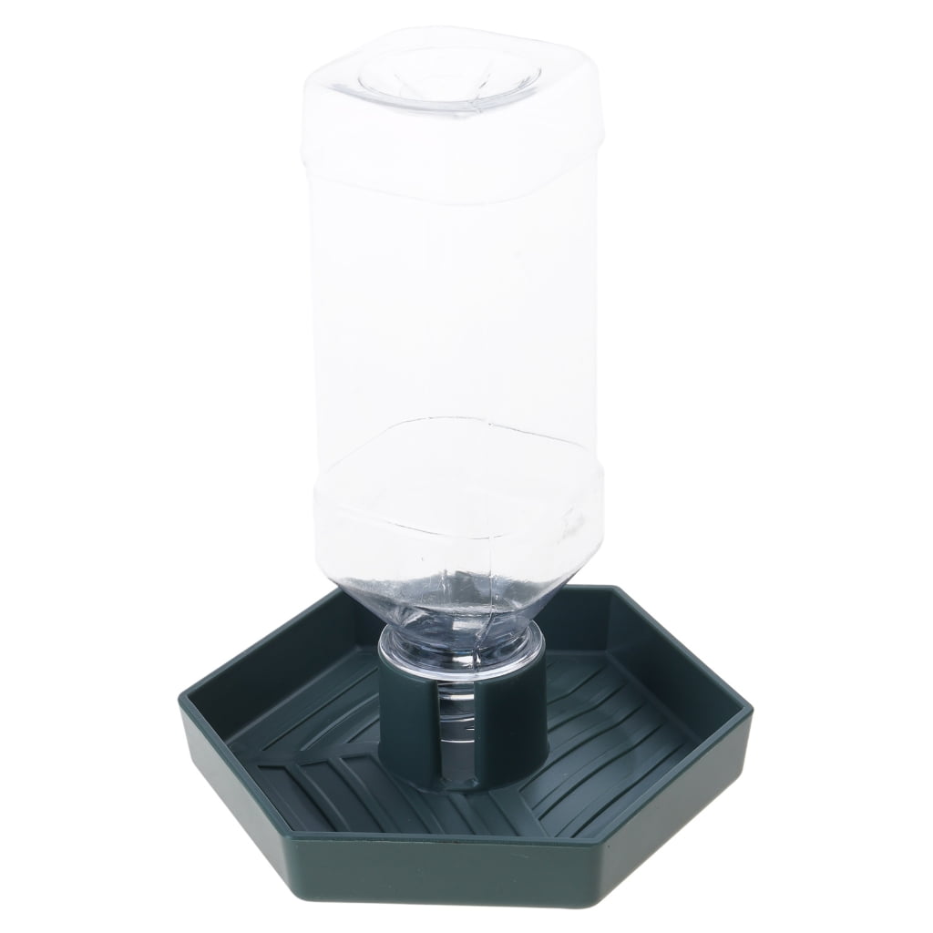 Reptiles Water Feeder Bowl Food Feeder Water Bottle For Reptiles Pet ...