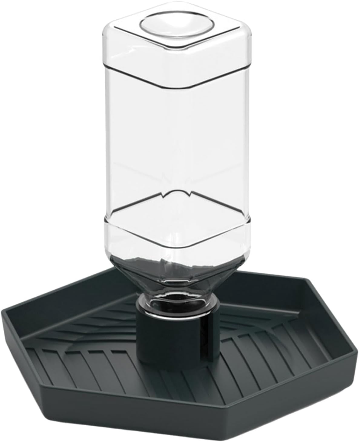 Automatic Water Dispenser for Reptiles Easy Feeder Water Bowl for ...