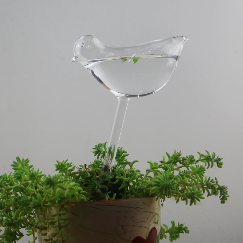 Automatic Watering Globe Plant Watering Globes Plastic Watering Bulbs ...