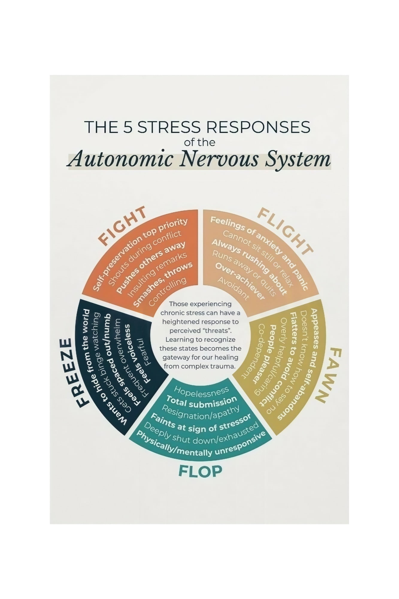 Autonomic Nervous System Chart Poster 5 Stress Responses Educational ...