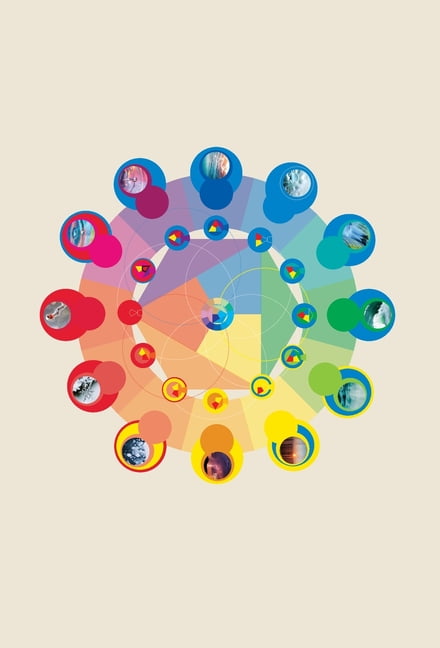 Autonomics The Neurobiology of Connection: Re-Wilding Your Deep Nervous ...