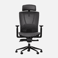 Autonomous ErgoChair Pro Office Chair Lumbar Support Black - Mesh ...