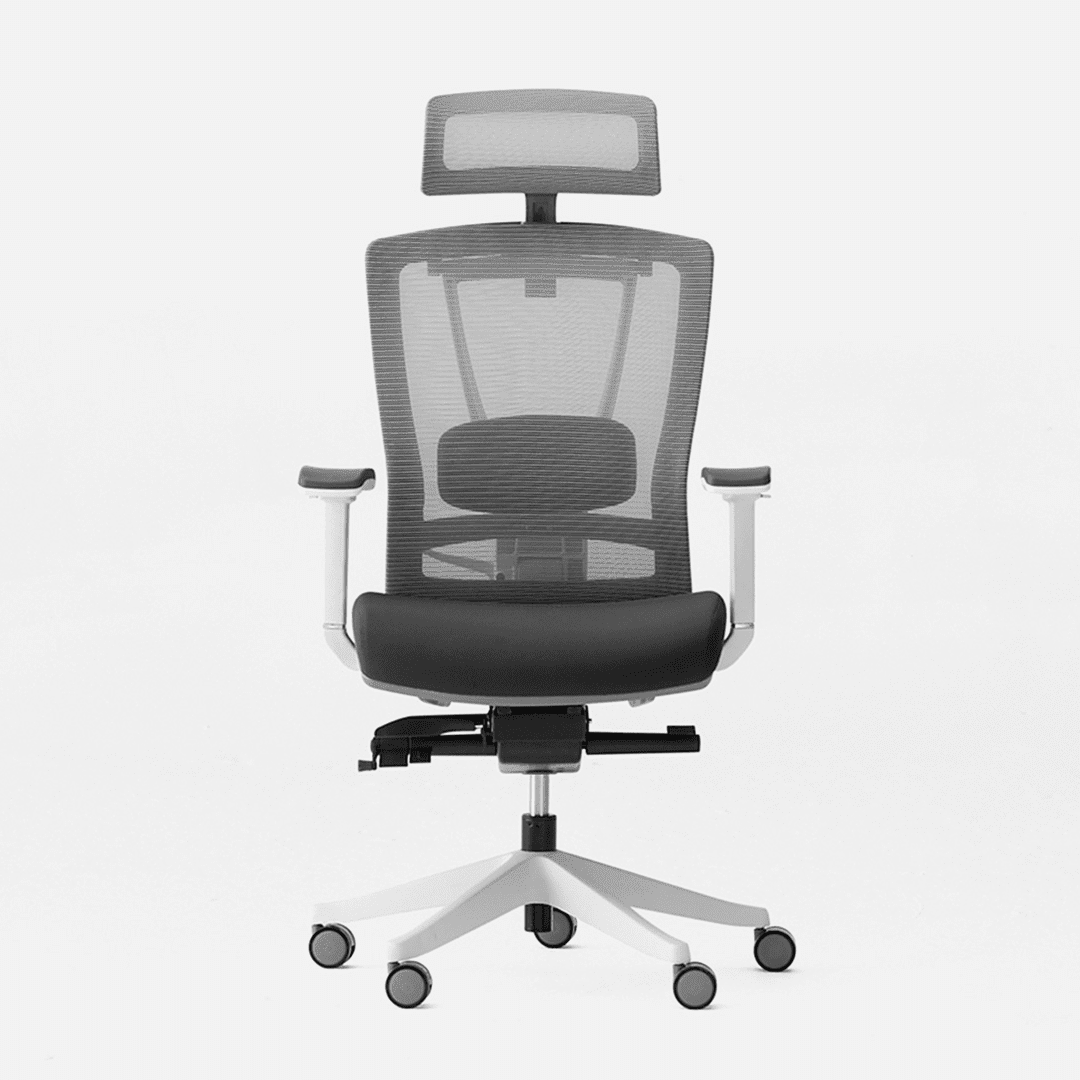 Autonomous ErgoChair Pro Office Chair Lumbar Support Black and White ...