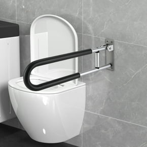 Fold Down Toilet Grab Bar