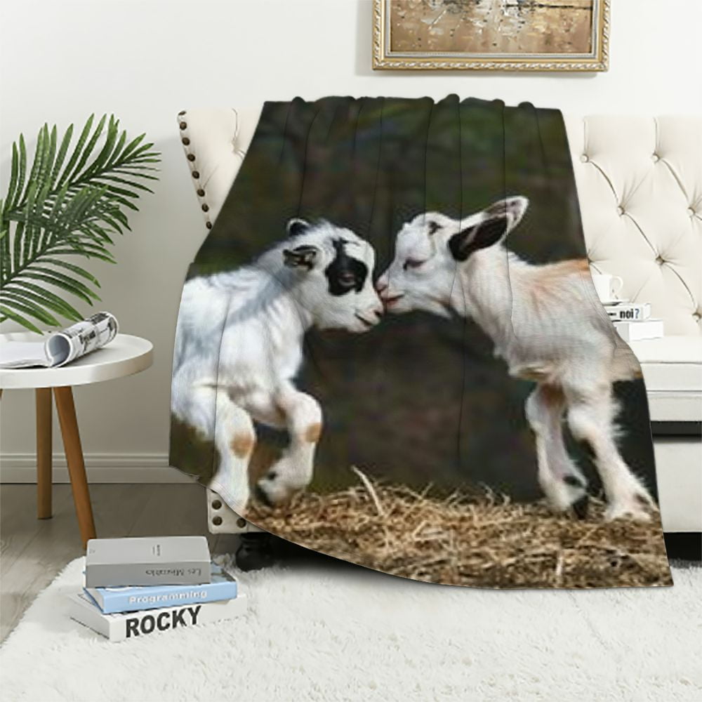 Autua Baby Goats Warm Lightweight Blanket Soft Fleece Throw Blanket for ...