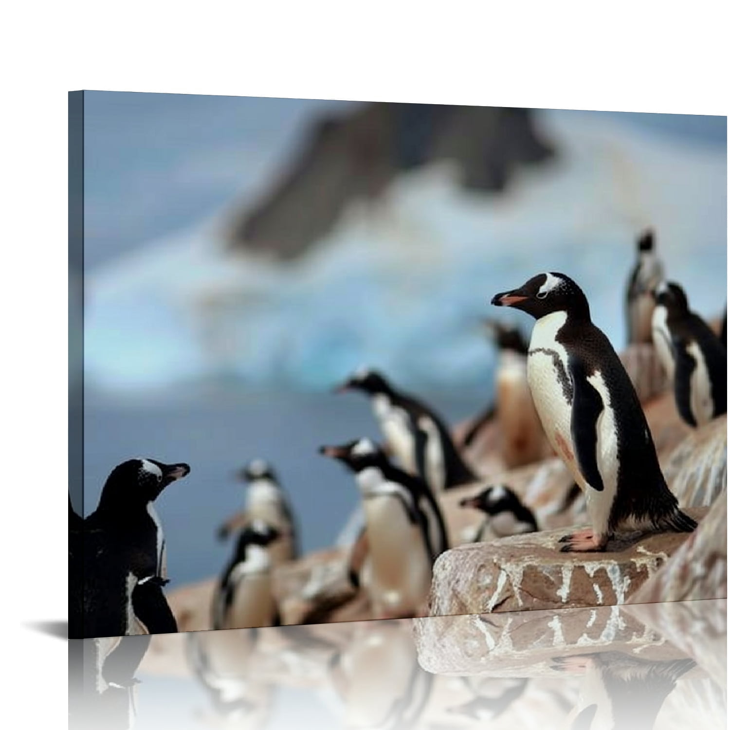 Autua Penguins Canvas Prints Wall Art for Living Room Bedroom Decor ...