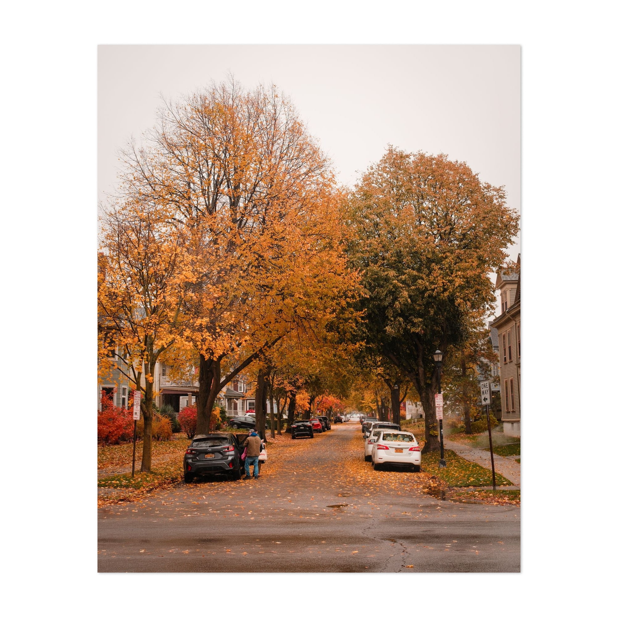 Autumn on Anderson Place, Buffalo - Buffalo New York Photography Autumn ...