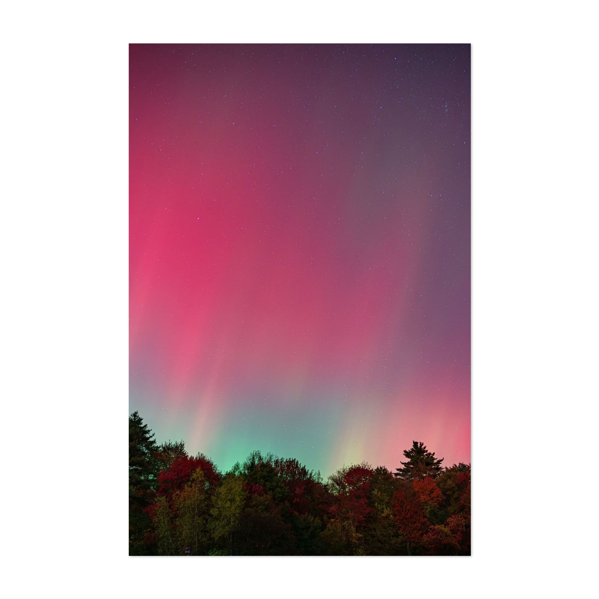 Autumn Aurora - Photography Aurora Borealis Night Sky Stars Scenic ...