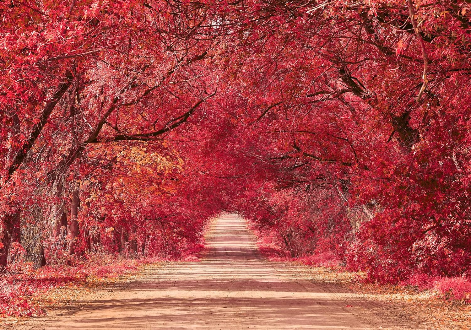 Autumn Backdrop 12 x 10 ft Fall Maple Leaf Photo Thanksgiving ...