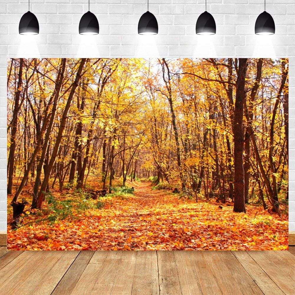 Autumn Backdrop Fall Forest Nature Scene Maple Leaves Farm Barn ...