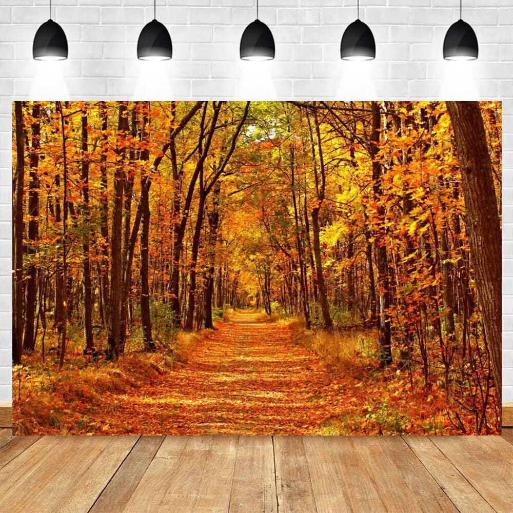 Autumn Backdrop Fall Forest Nature Scene Maple Leaves Farm Barn ...