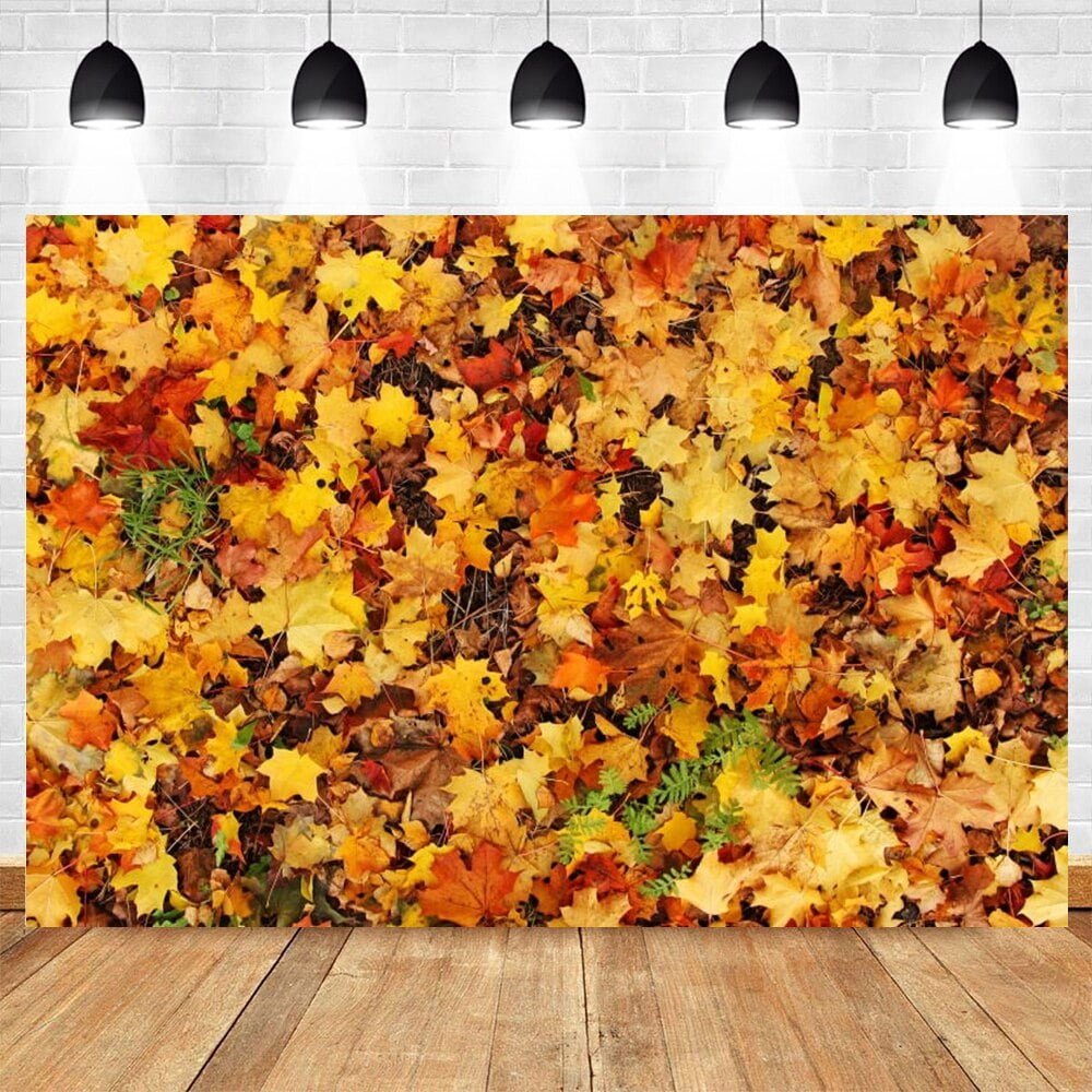 Autumn Backdrop Fall Forest Nature Scene Maple Leaves Farm Barn ...