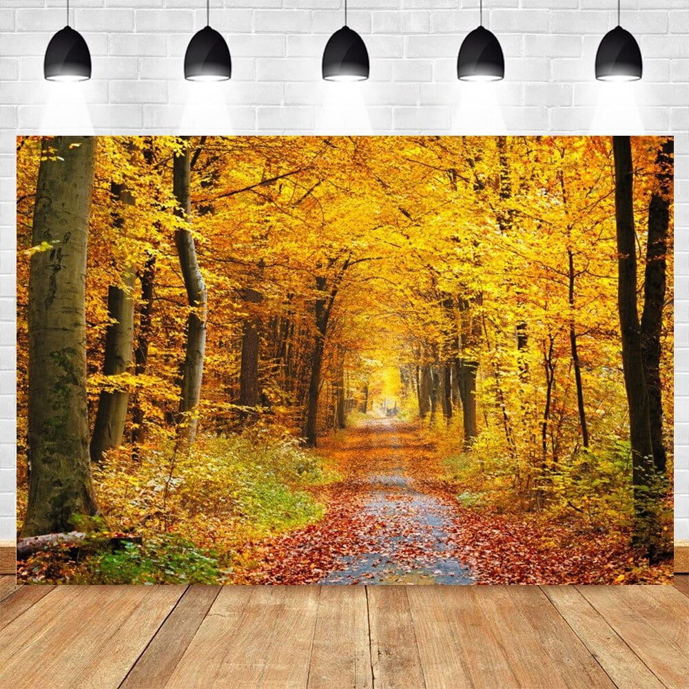 Autumn Backdrop Fall Forest Nature Scene Maple Leaves Farm Barn ...