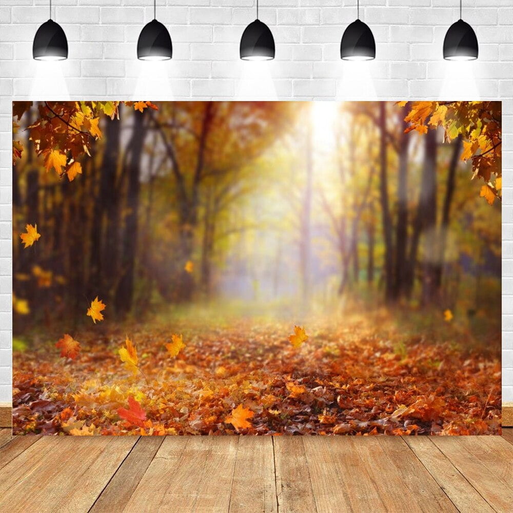 Autumn Backdrop Fall Forest Nature Scene Maple Leaves Farm Barn ...