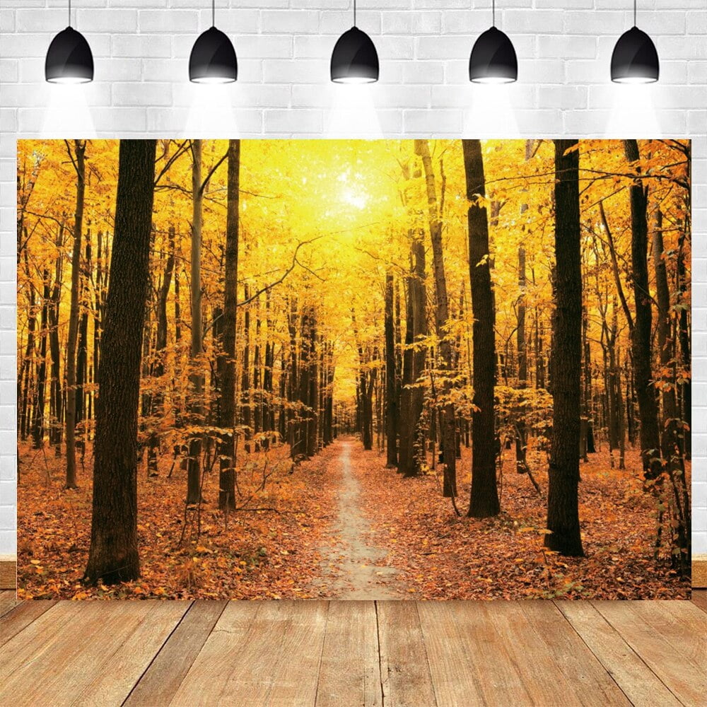 Autumn Backdrop Fall Forest Nature Scene Maple Leaves Farm Barn ...