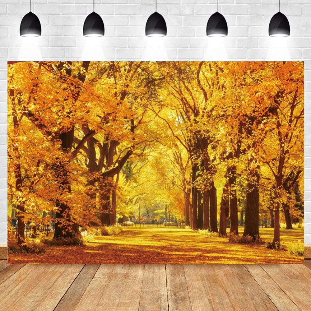 Autumn Backdrop Fall Forest Nature Scene Maple Leaves Farm Barn ...
