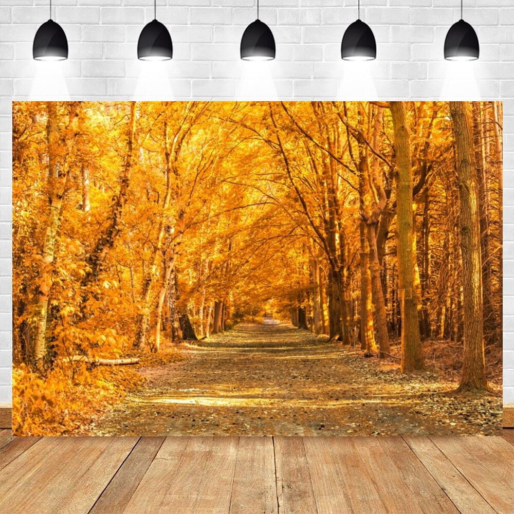 Autumn Backdrop Fall Forest Nature Scene Maple Leaves Farm Barn ...