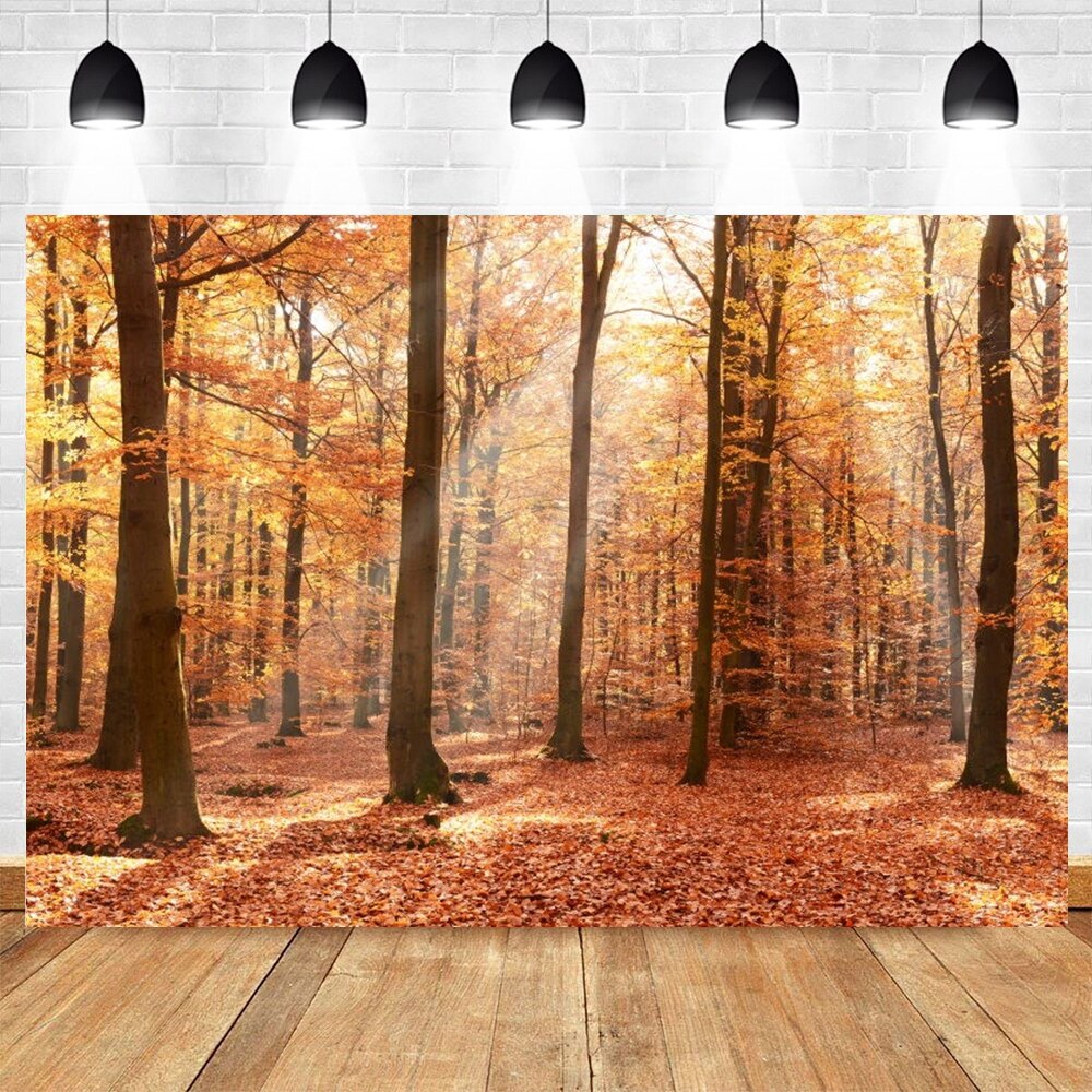 Autumn Backdrop Fall Forest Nature Scene Maple Leaves Farm Barn ...