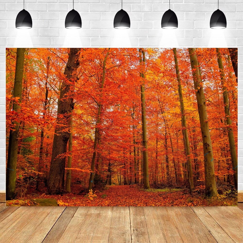 Autumn Backdrop Fall Forest Nature Scene Maple Leaves Farm Barn ...