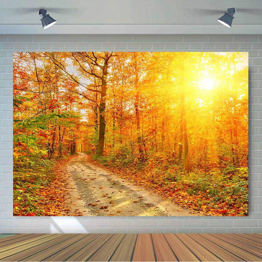 Autumn Backdrop Gold Autumn Forest Path Photo Backdrop Fall Trees Vinyl ...