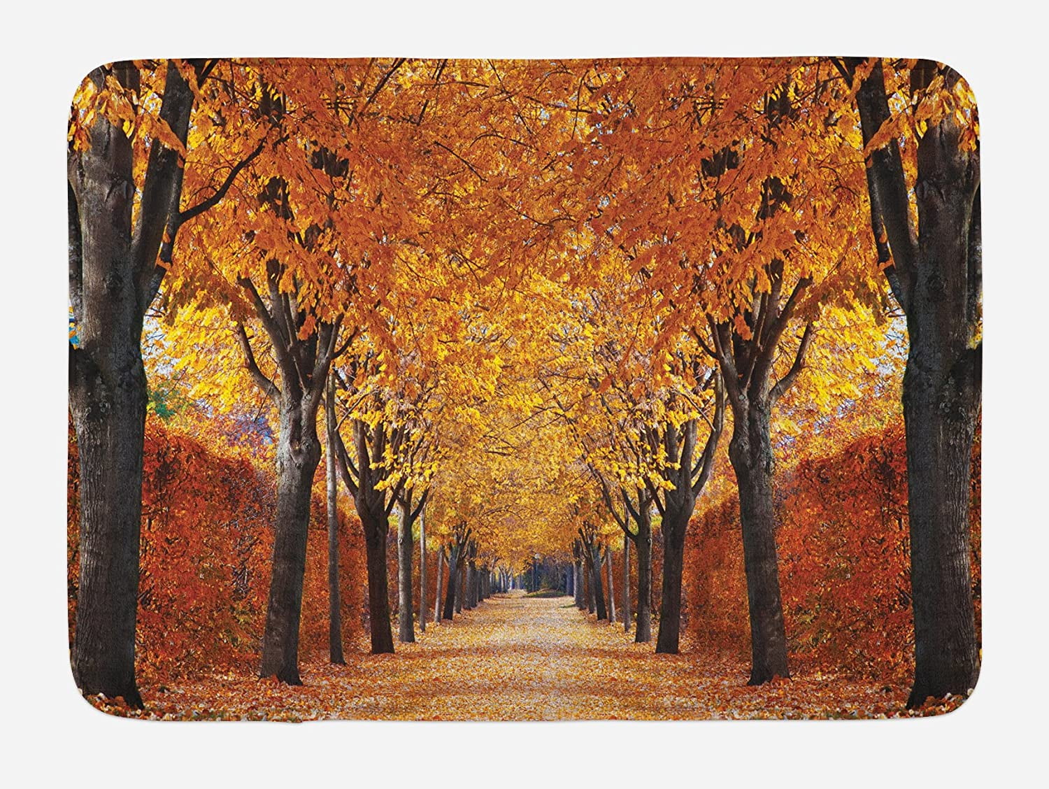 Autumn Bath Mat, Pathway in The Woods Covered Dried Deciduous Tree ...