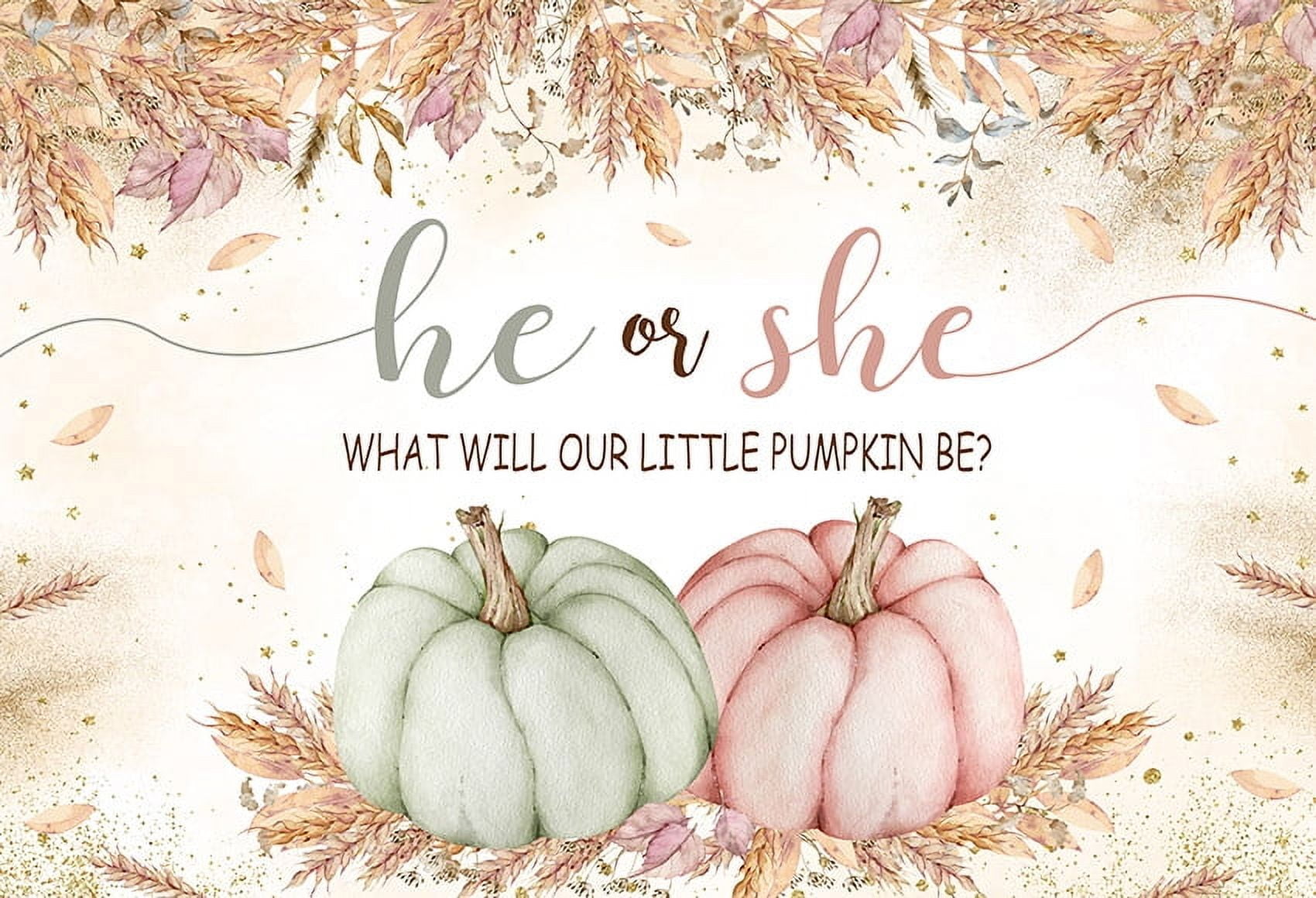 Autumn Boho Pink Floral Pumpkin Gender Reveal He or She Baby Shower r ...