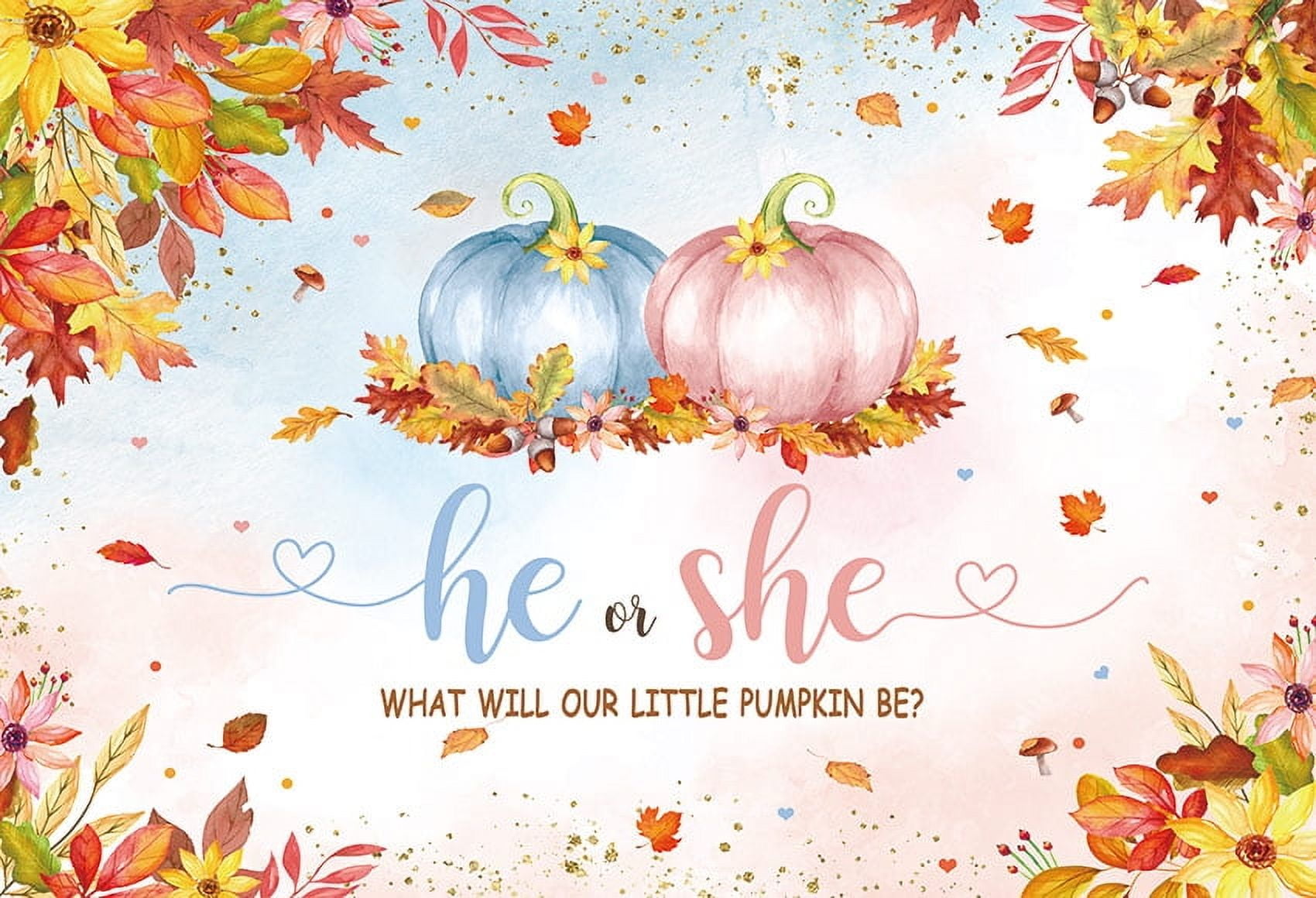 Autumn Boho Pink Floral Pumpkin Gender Reveal He or She Baby Shower r ...